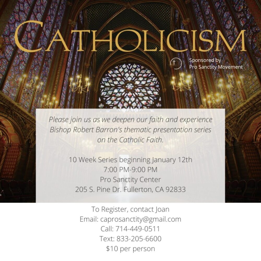 Pro Sanctity Movement thematic presentation series with Bishop Robert ...